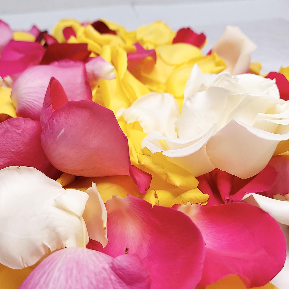 Rose petals nyc store