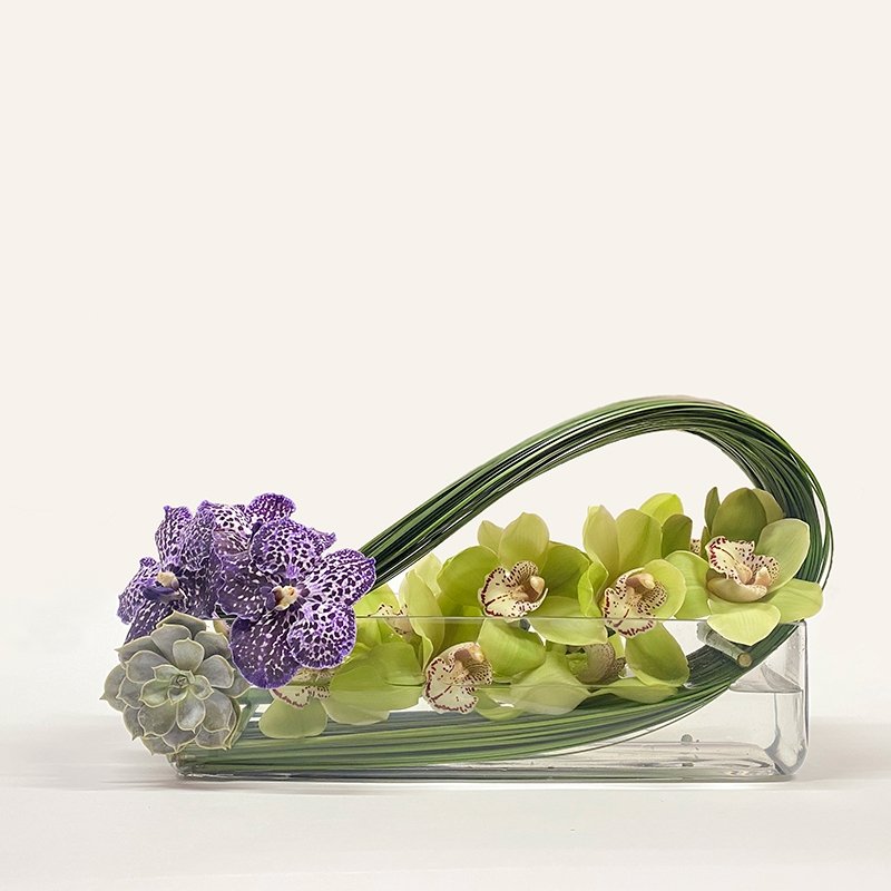 Luxury Orchid Floral Arrangements | Best Florist in NYC | Same-Day ...