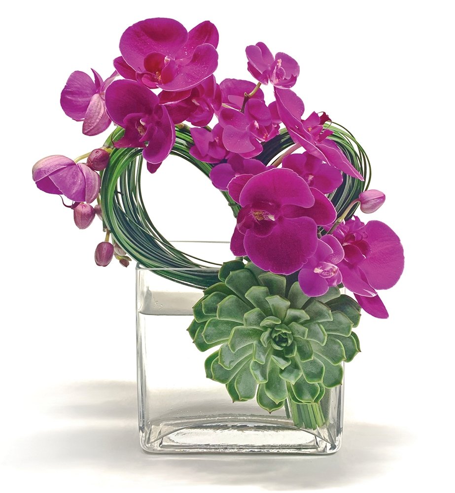 Fuchsia Phalaenopsis Orchids – Same-Day Delivery NYC | Heather Floral ...